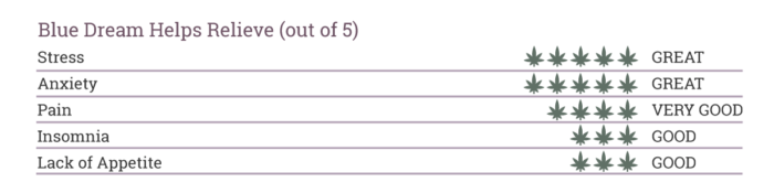 Everything You Need to Know About the Cannabis Strain Blue Dream