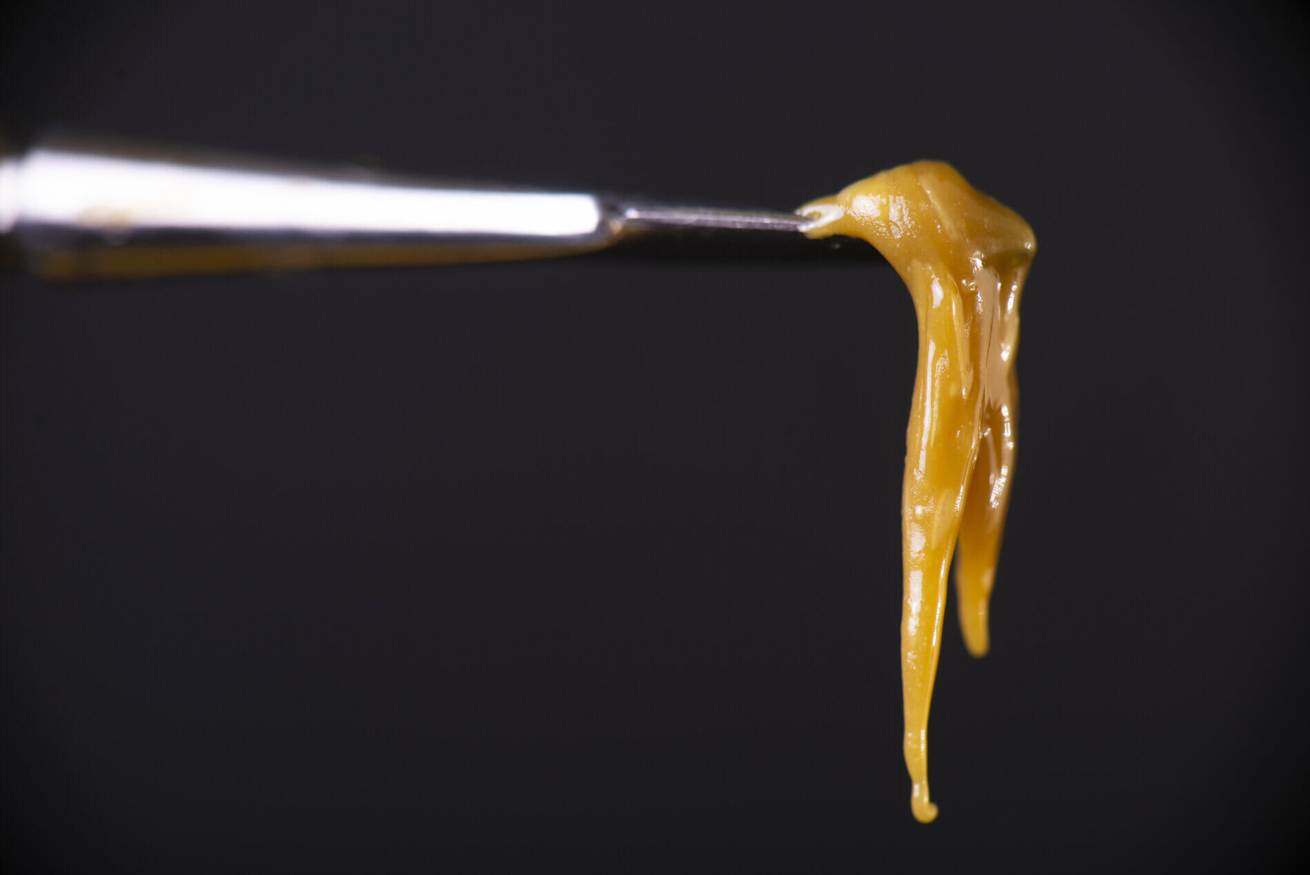 Live Rosin vs. Live Resin: What's the Difference? - Kind Meds AZ Live Rosin vs. Live Resin: What's the Difference? - Kind Meds AZ