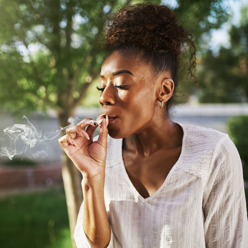 Exploring the Differences Between THC and CBD