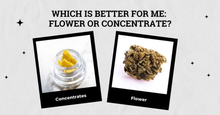 Cannabis Flower Versus Concentrate