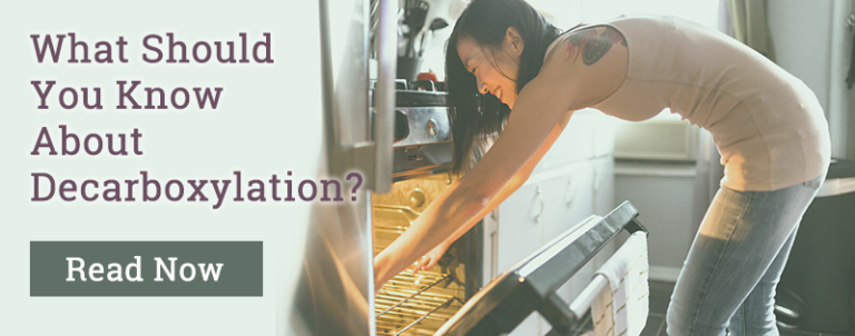 Popular Cannabutter Recipes